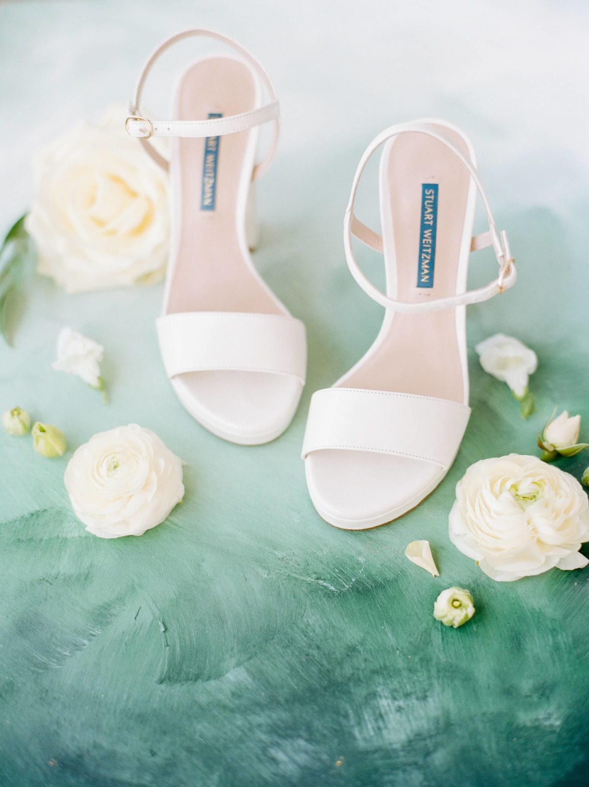 The Best Photography Backdrops for Any Occasion - lindalestudios.com